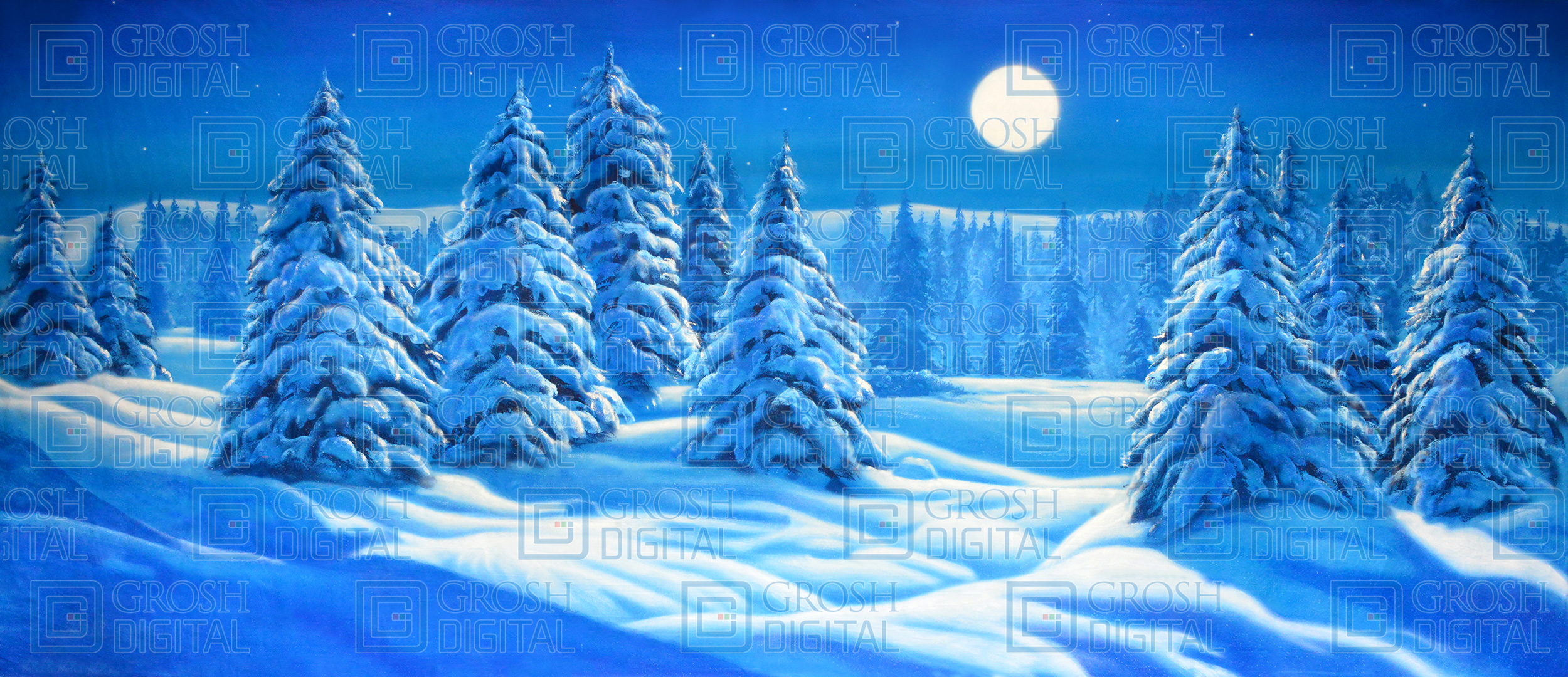 Snowy Landscape Night