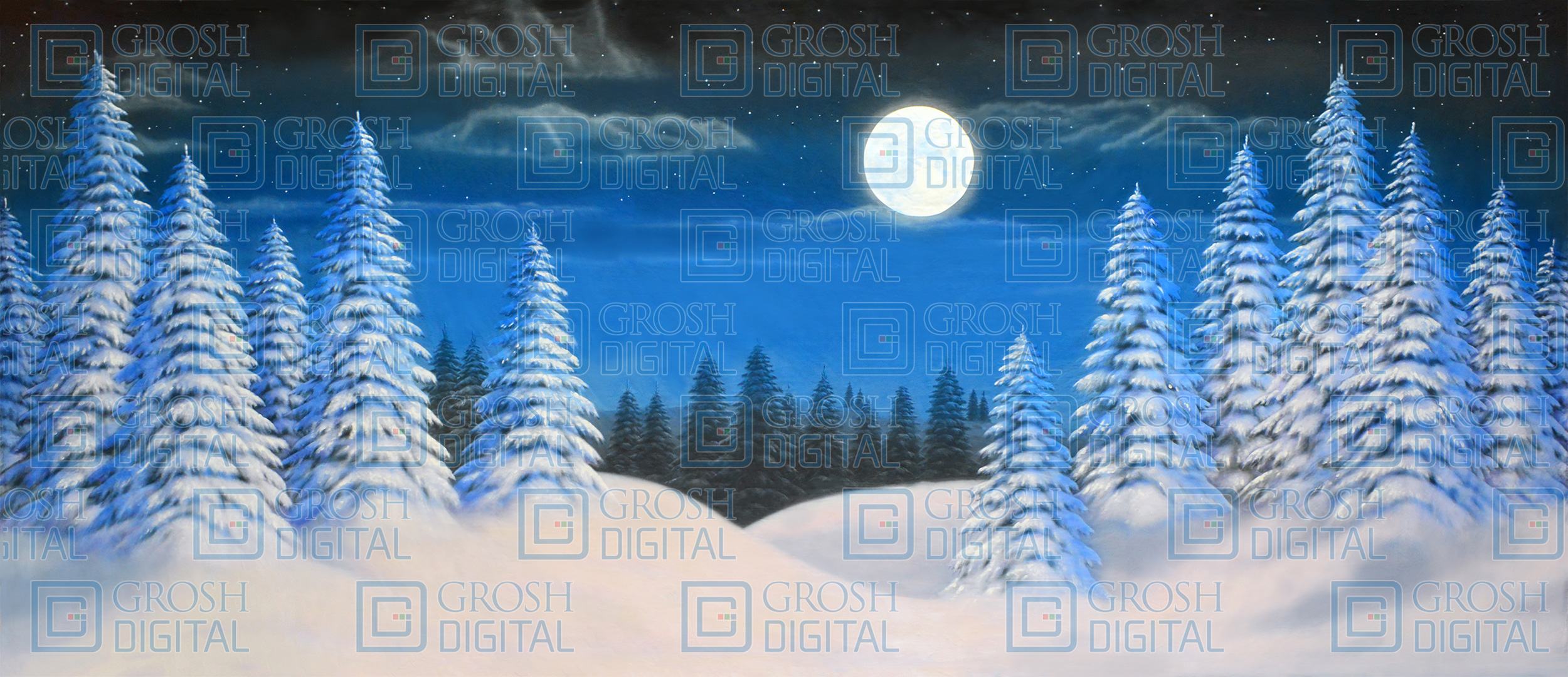 Nutcracker Backdrops