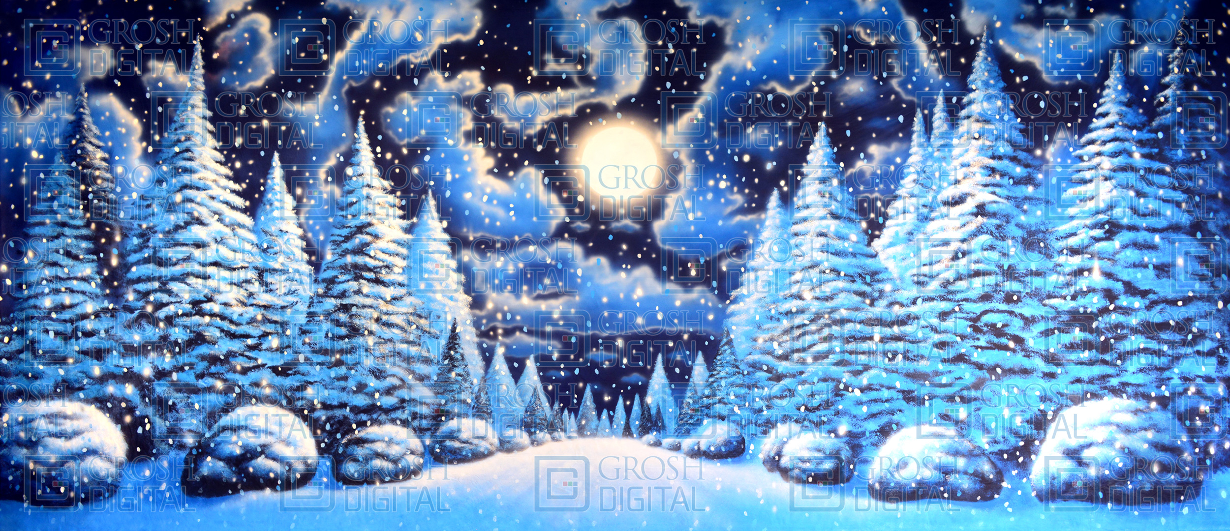 Winter Pine Trees Night